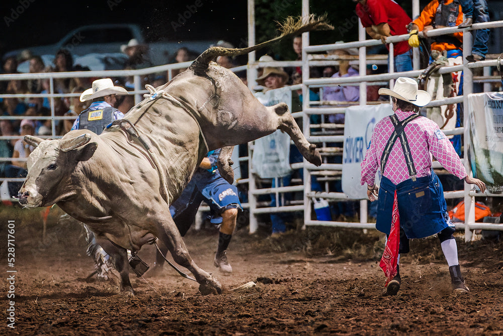Professional Bull Riding: An Adrenaline-Packed Adventure — Rowdy Rowels