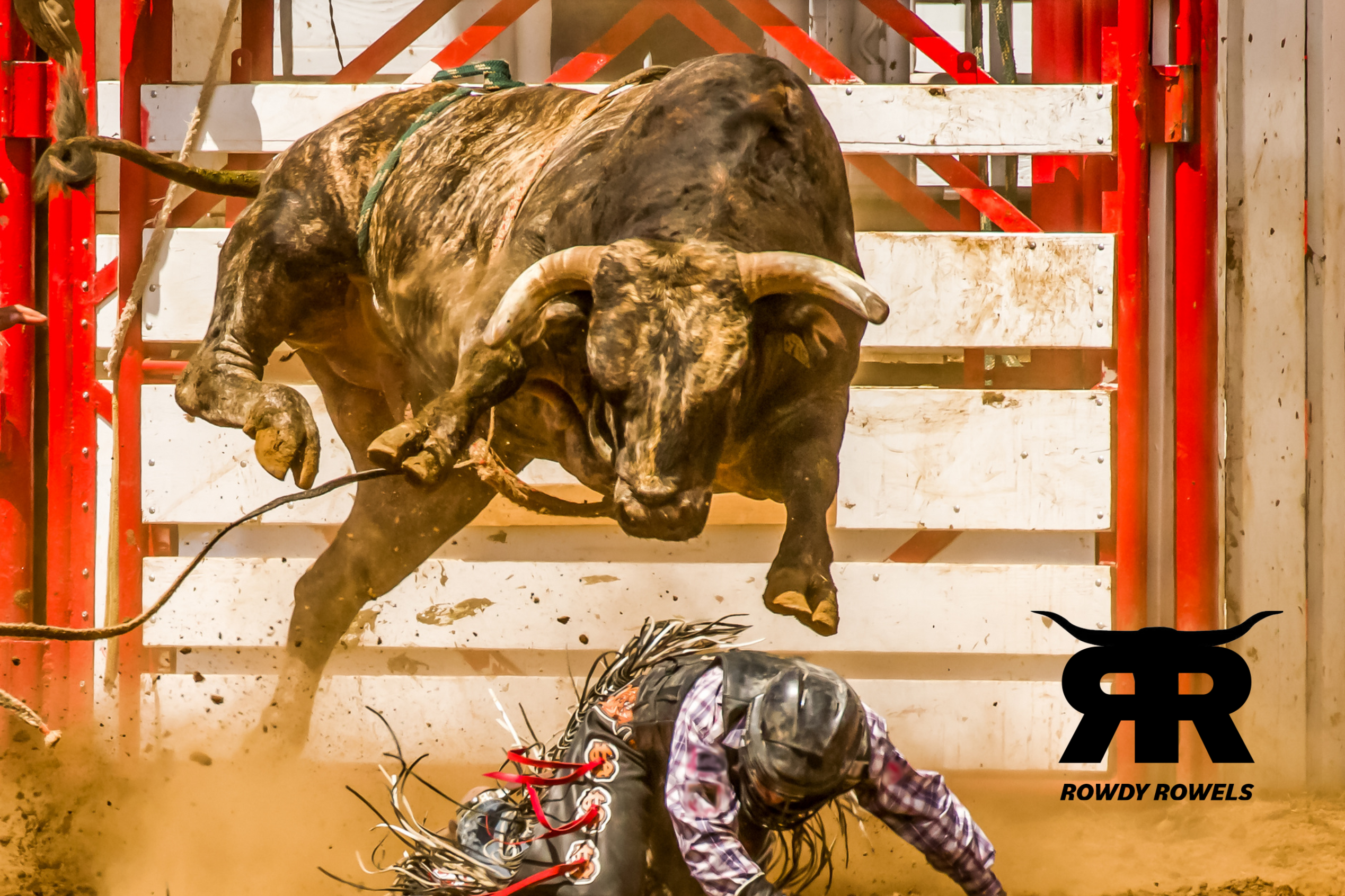 Bull Riding has Become a Highly Popular and Competitive Sport - Rowdy ...