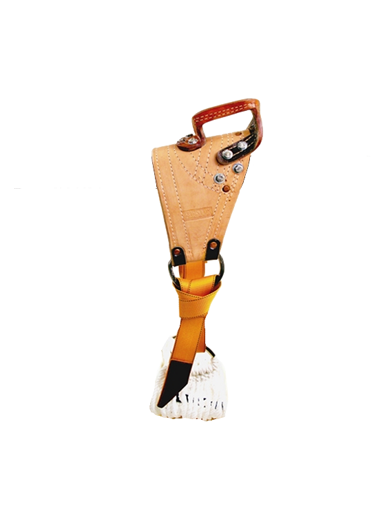 Barstow Pony Rigging — Rowdy Rowels